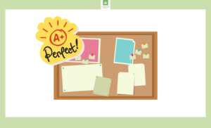 How to Set Up a Reading Fair Board — The Ultimate Guide