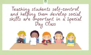 What Is SDC Teacher — Job Description & All Requirements