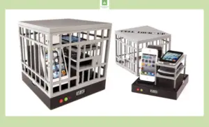 9 Rules & 8 Tips for an Effective Cell Phone Policy at School