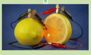 The Ultimate List of 14 Science Experiments for Elementary School