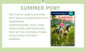 25 Chapter Books for 1st Graders: My Top Picks for Your Students