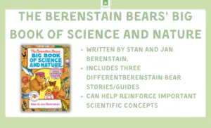 25 Chapter Books for 1st Graders: My Top Picks for Your Students