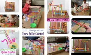 19 STEM Activities for Elementary Students: Budget-Friendly & Fun