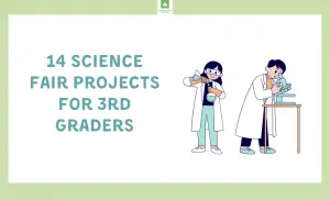 14 Fun and Engaging Science Fair Projects for 3rd Graders