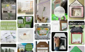 14 Preschool Plant Activities to Nurture Curiosity [2024 Edition]