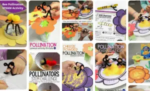 14 Preschool Plant Activities to Nurture Curiosity [2024 Edition]