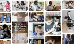 14 Middle School Electives to Engage Students in 2024