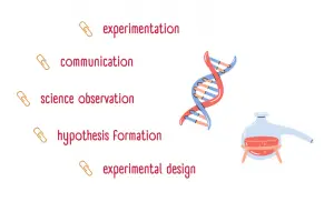 14 Fun and Engaging Science Fair Projects for 3rd Graders